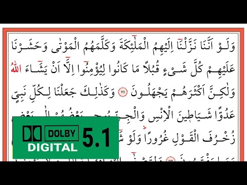 01697 E'nam Sûresi 111-118. Ayetler - Bünyamin Topçuoğlu - بونيامين توبكوغلو - (Yavaş Okuma)