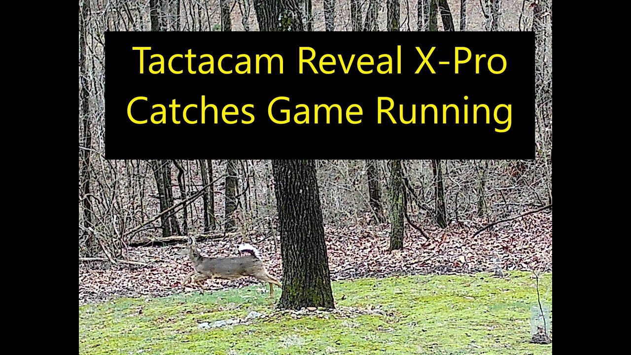 Tactacam Revel X-Pro testing before deploying remotely - YouTube