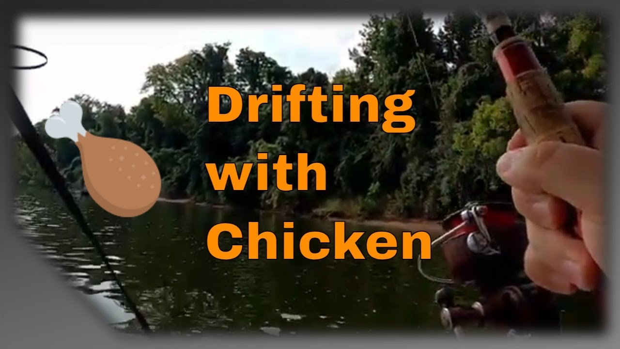 Summer Catfishing with Chicken - A Trip Back in Time. - YouTube