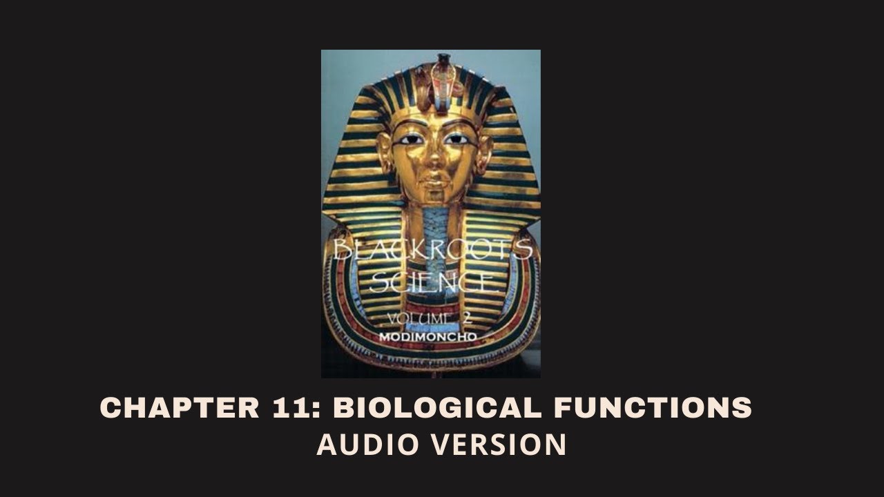 Chapter 11: Biological Functions - Blackroots Science Vol. 2 - YouTube