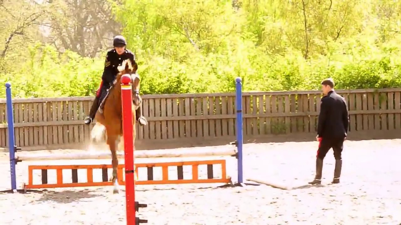Household Cavalry jumping practice, Hyde Park, London - YouTube