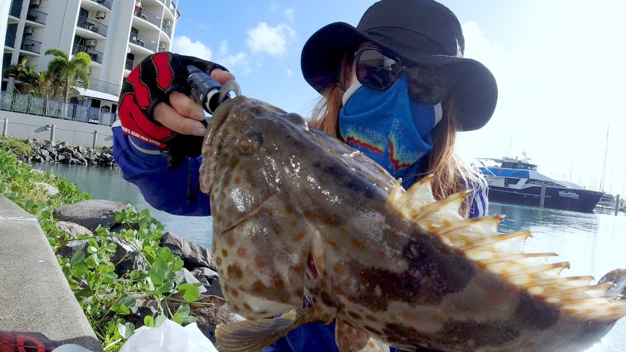 Estuary cod fishing Atomic Hardz Tims Prawn slays cods! Call me cod ...