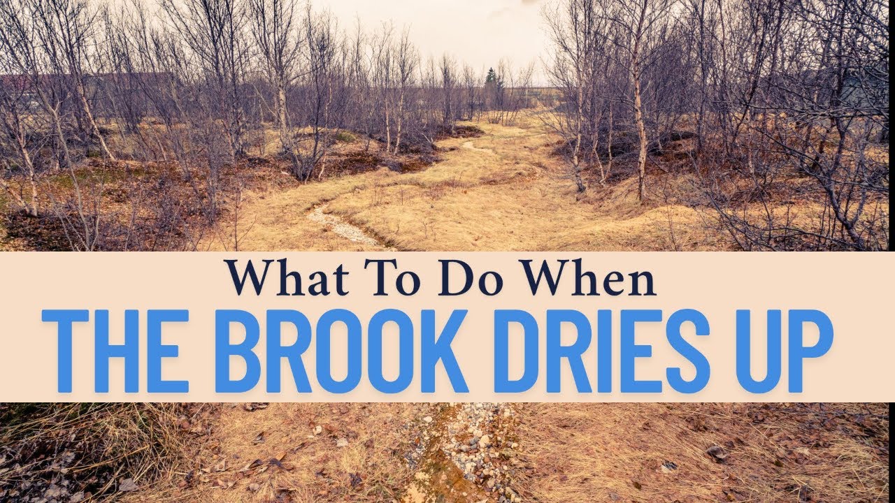 What To Do When The Brook Dries Up - June 29, 2025 - YouTube