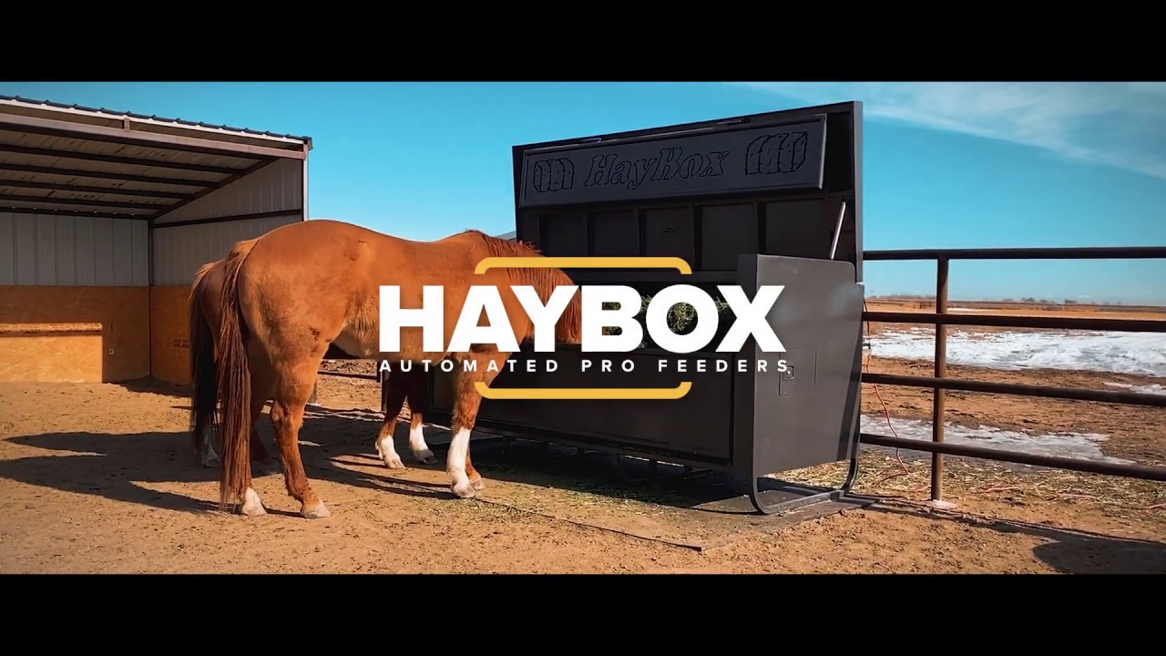 HayBox Automated Pro Feeders – Regulating Your Livestock's Feed - YouTube