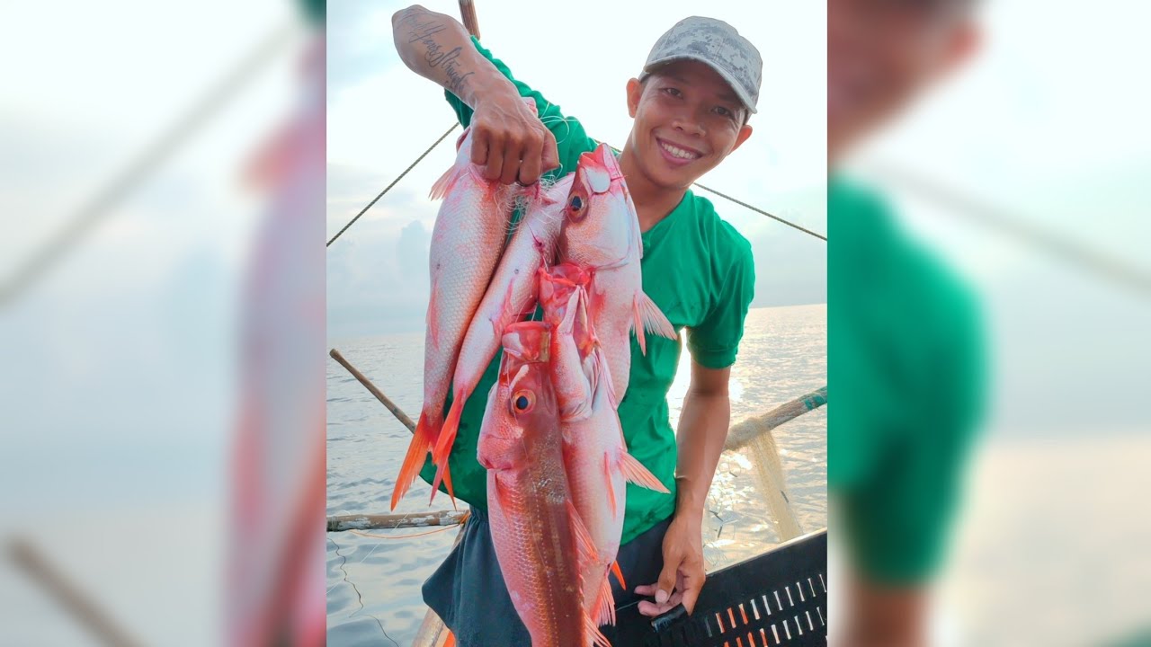 5 Pirasong Sagisi Ang Nag Bungkos Sa Isang Pangawil - YouTube