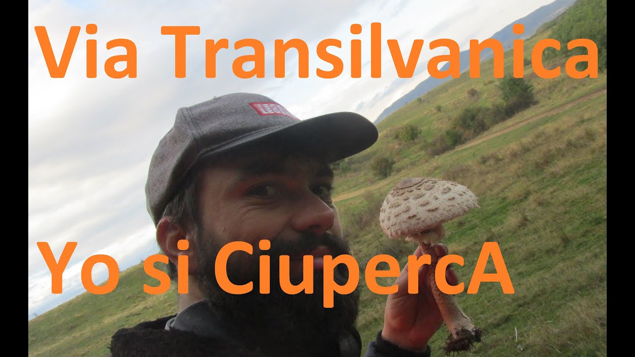 Via TransilvanicA RUTA RAGLA-SOiMUS-MONOR-SCHiTU FORTA PARASiT 14.12. ...
