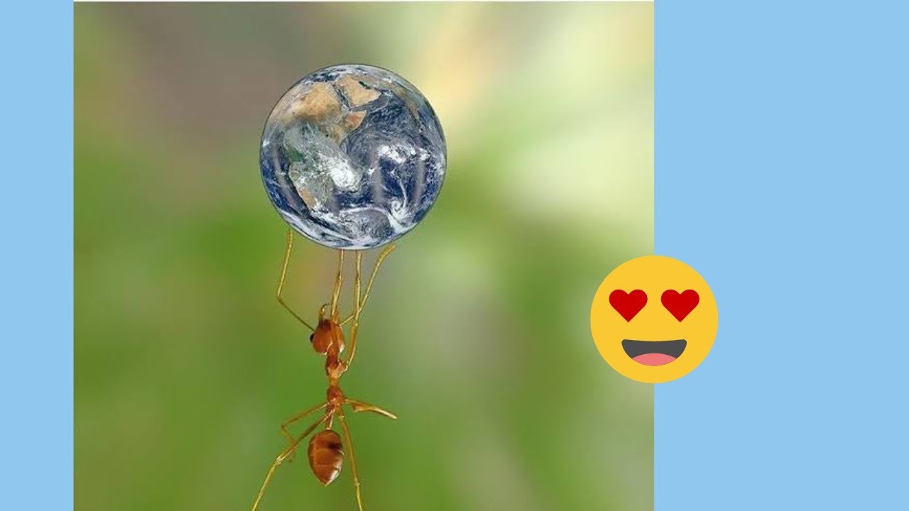 how to make ant model | Ant craft | Ant craft ideas | ant puppet craft ...