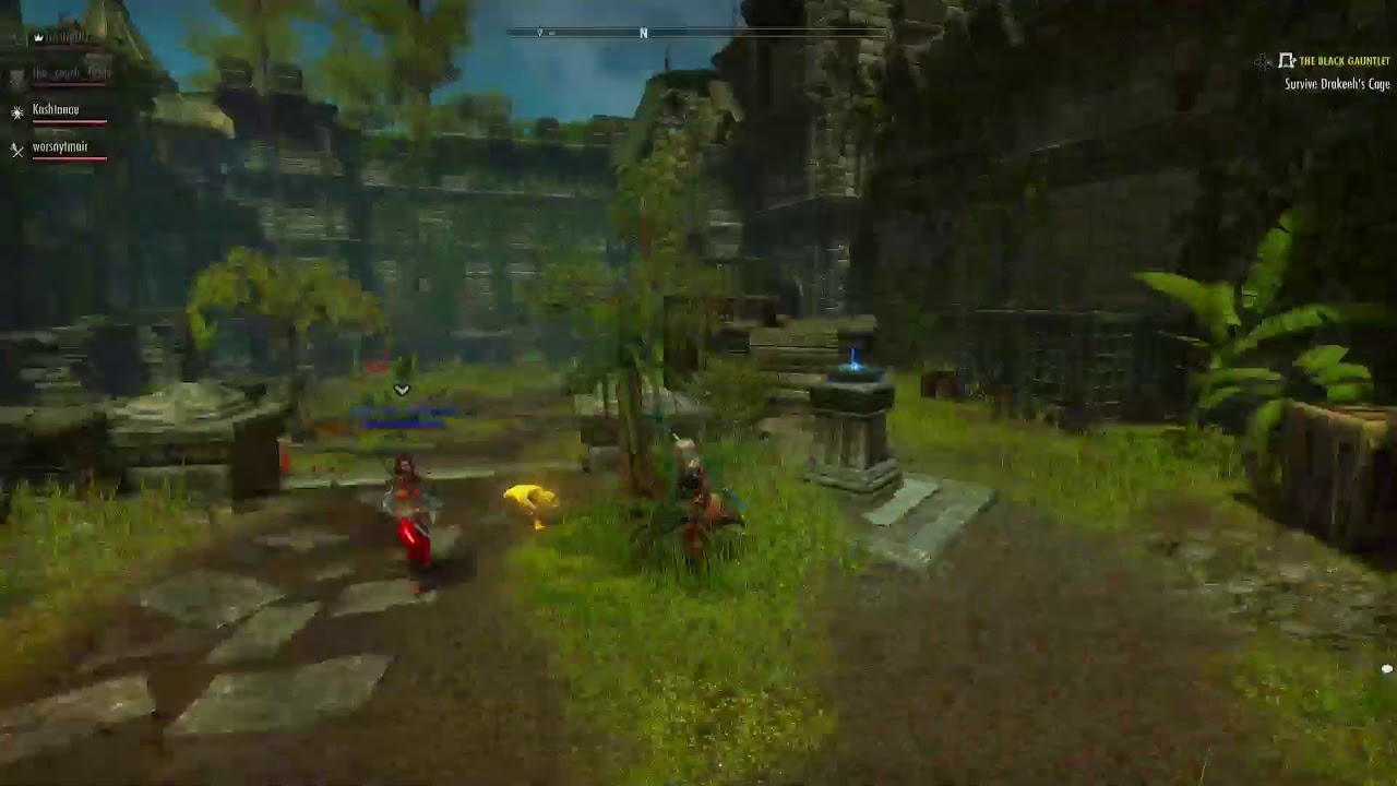 ESO Vet BRP - YouTube