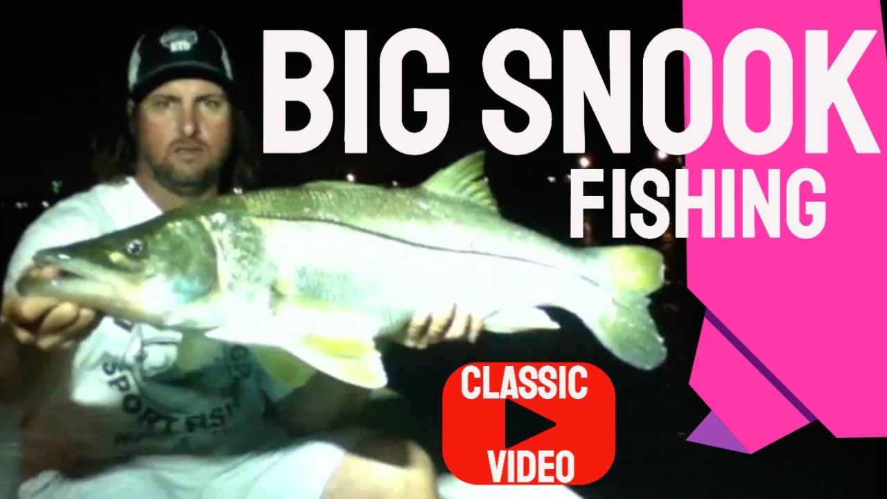 Big Snook Mullet Run Fishing - Classic Lunkerdog - YouTube