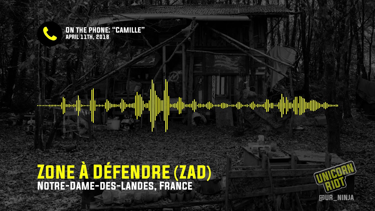 Zone À Défendre Resists Eviction Update #1 - Interview w/ a Zadiste ...