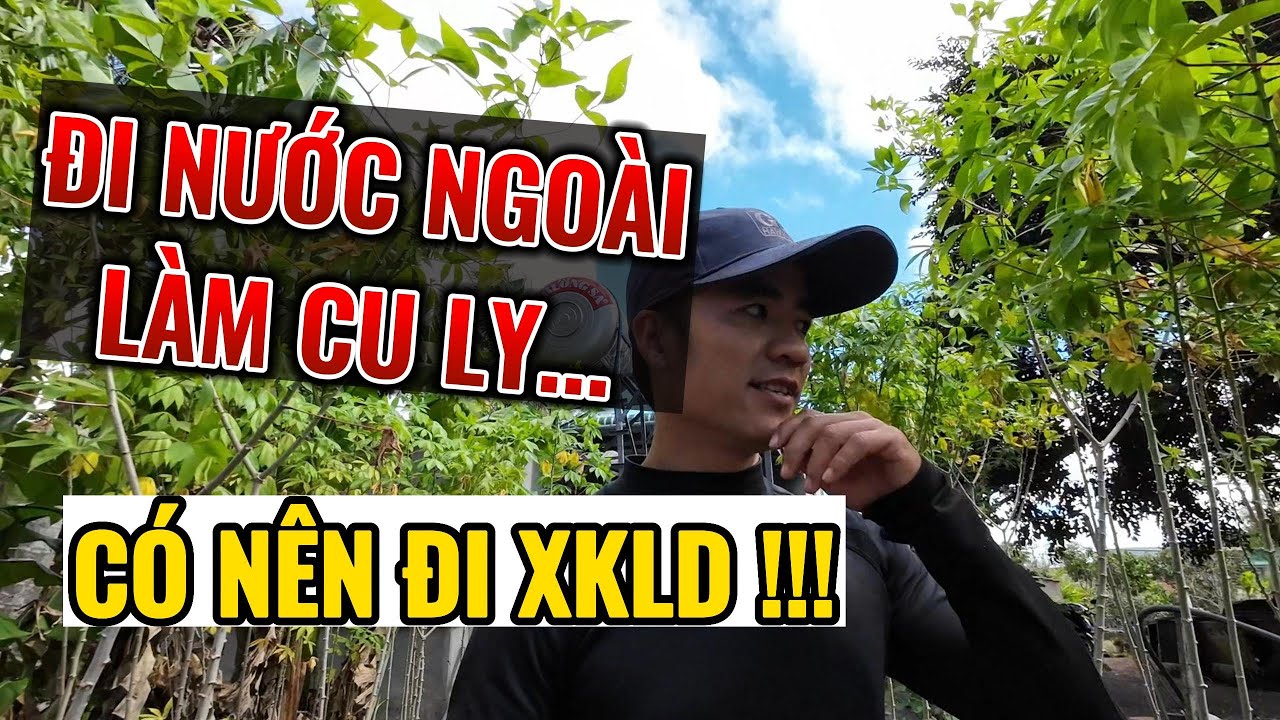 ĐI NƯỚC NGOÀI LÀM CU LY | CÓ NÊN ĐI XUẤT KHẨU LAO ĐỘNG. - YouTube