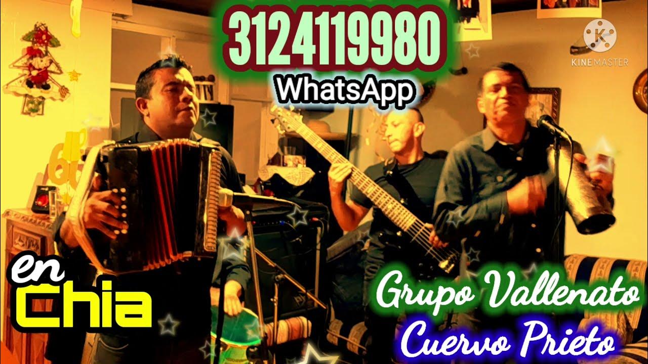 3124119980 PARRANDA VALLENATA en CHIA. GRUPO VALLENATO EN COTA , TABIO TENJO Y CAJICA ...