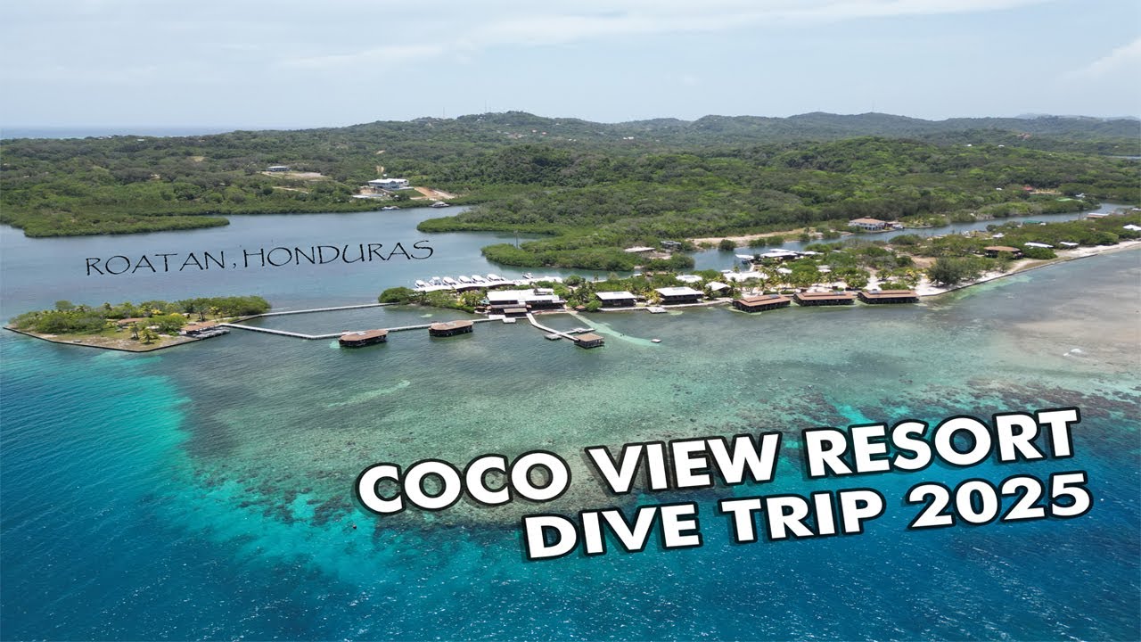 Diving CoCo View Resort - Roatan, Honduras - YouTube