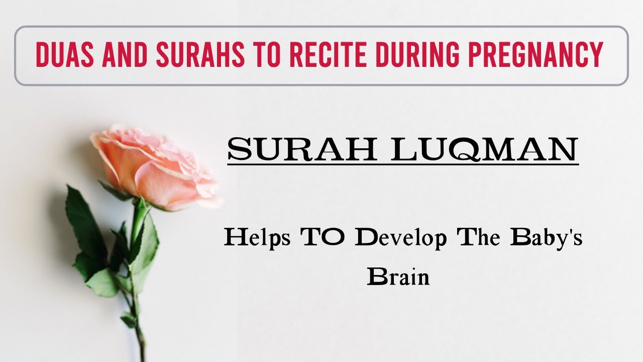 SURAH LUQMAN Surahs To Recite During Pregnancy Helps To Develop surah-luqman-surahs-to-recite-during-pregnancy-helps-to-develop