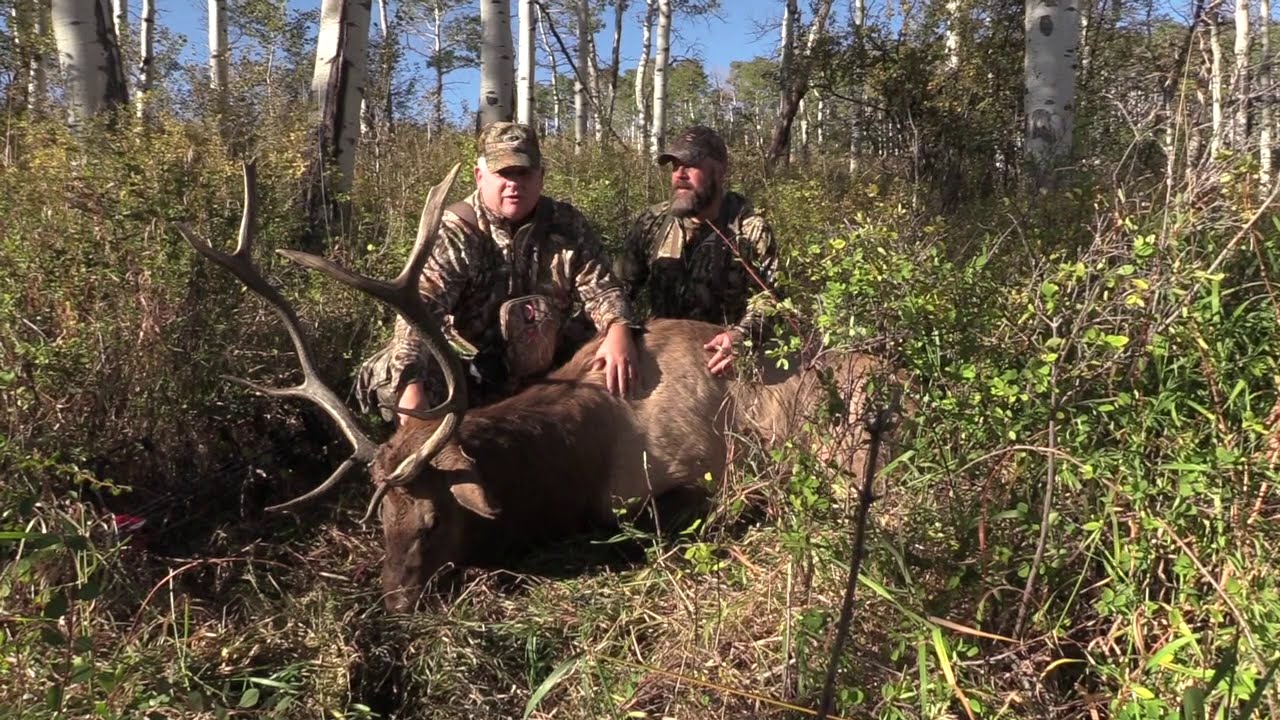 It only took 10 minutes for a successful archery bull in Colorado ...