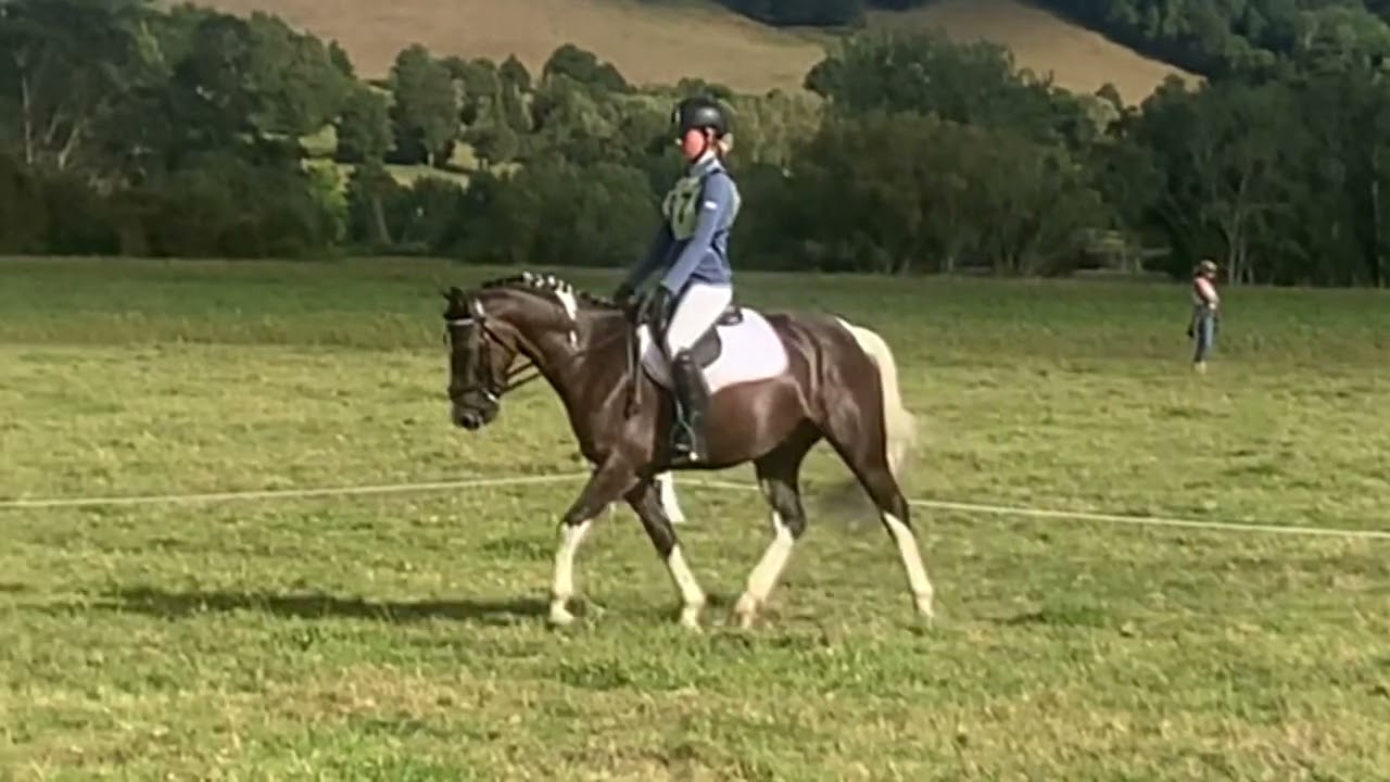 Ricky Baker dressage video - YouTube