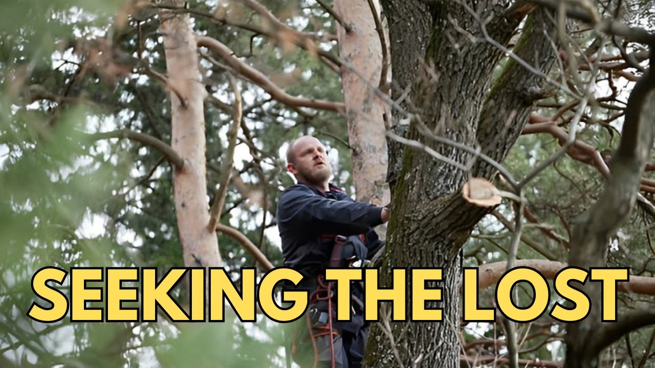 Seeking The Lost - YouTube