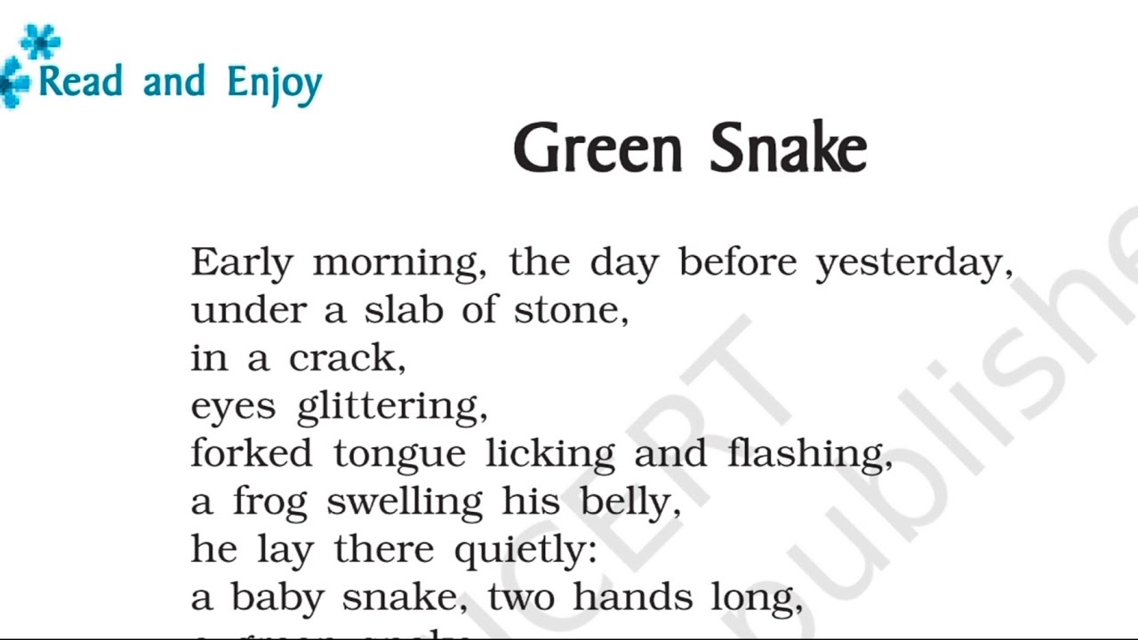 Green Snake 🐍/ Poem/ Class 9th/Ncert/Explanation in hindi - YouTube