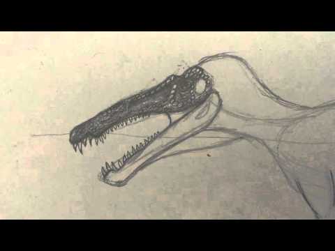 How to draw a suchomimus part 2 - YouTube