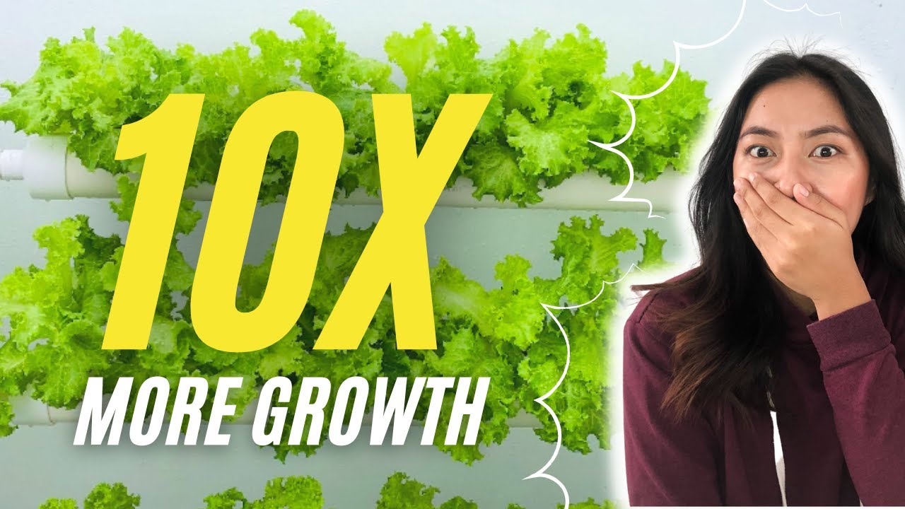 You Won't Believe How I Got Massive Growth with Kratky - YouTube