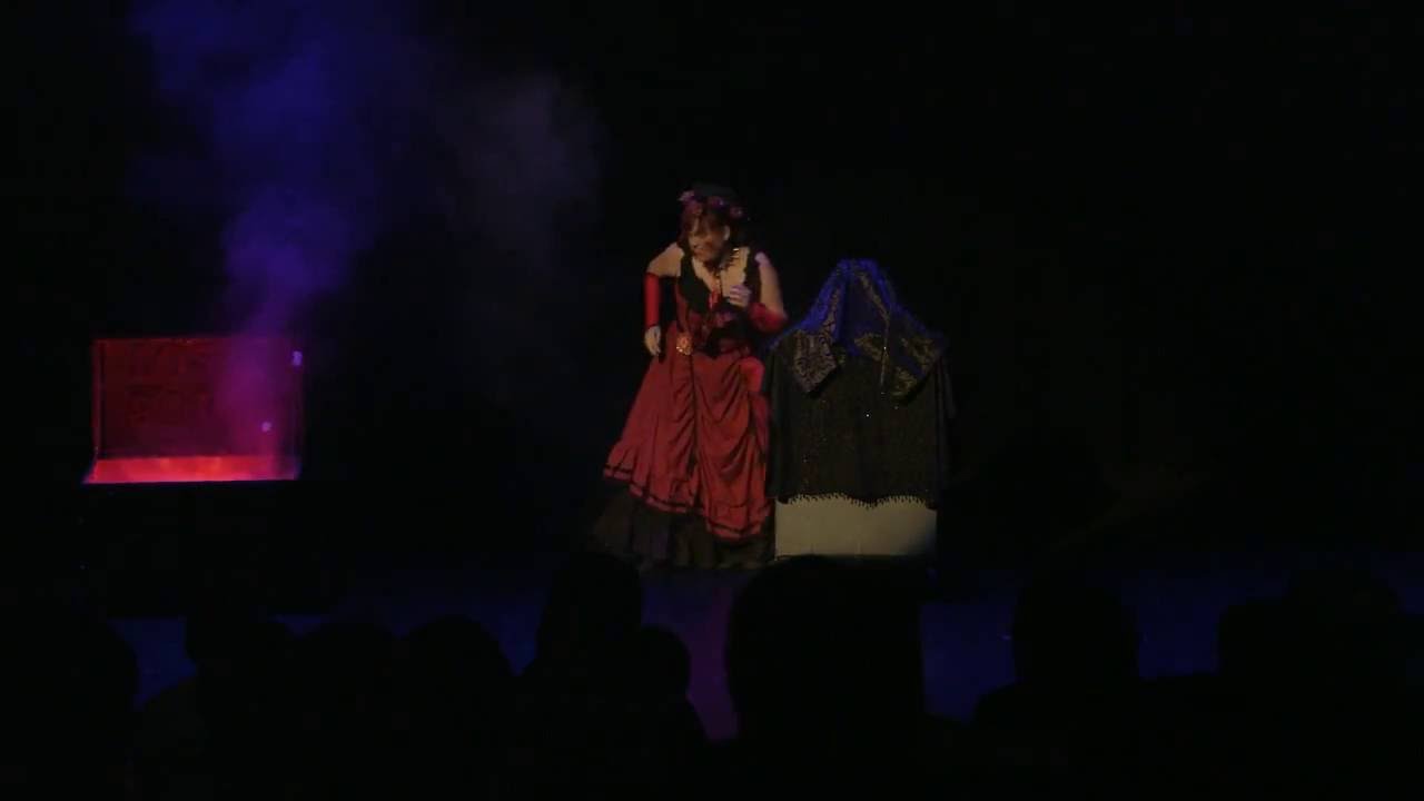 My magic act at Tannen's magic camp 2014 - YouTube