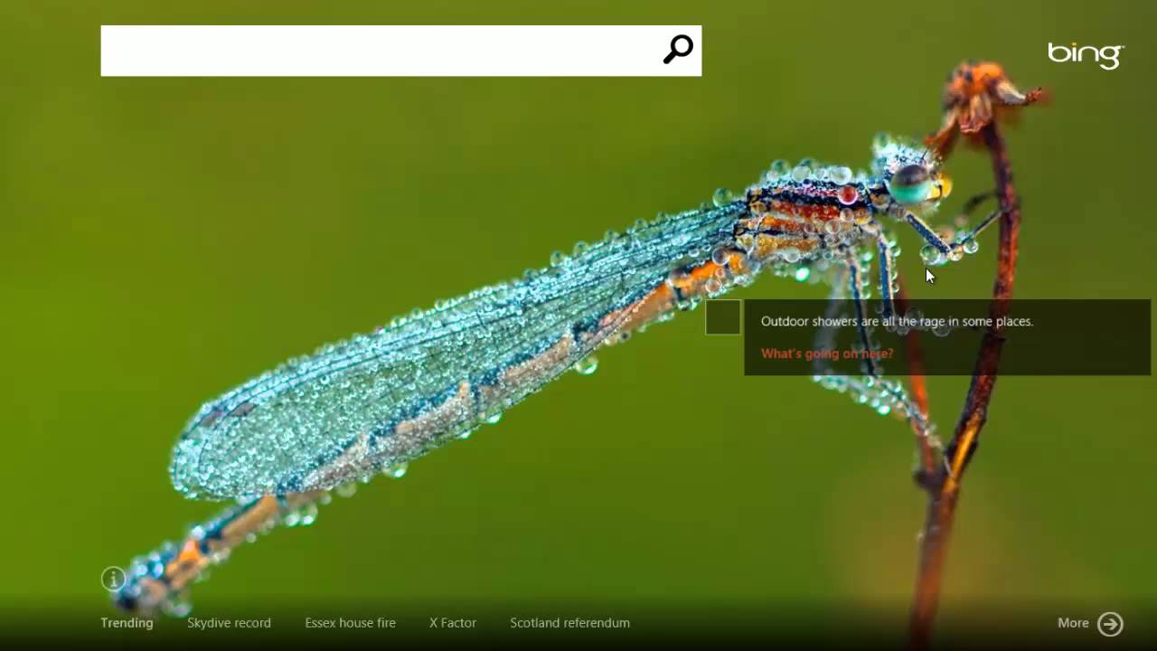 Windows 8 App Bing - YouTube