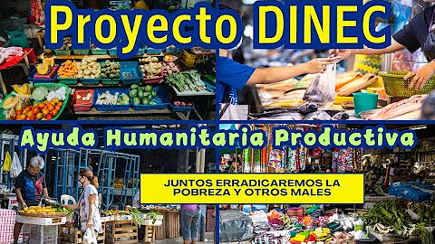 Proyecto DINEC Tutorial - YouTube