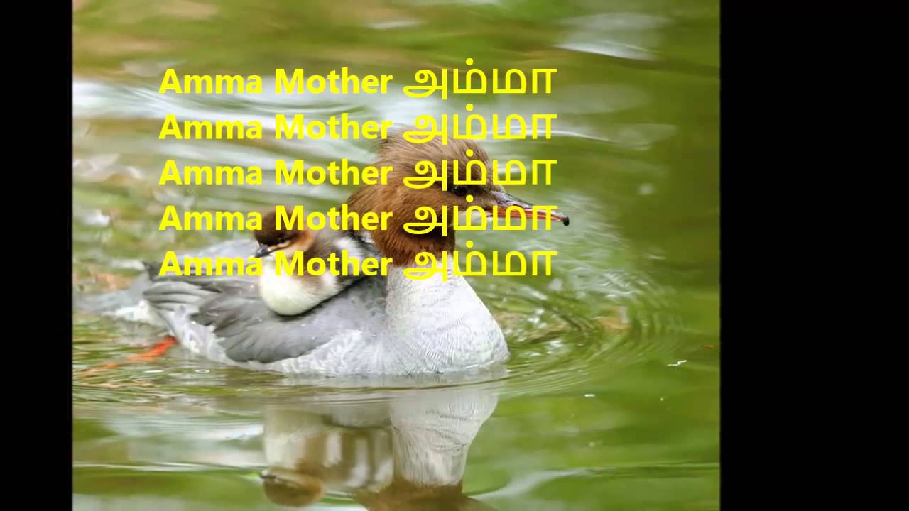 1. Amma amma - அம்மா அம்மா - Best ever Mother Sentimental Tamil Song ...