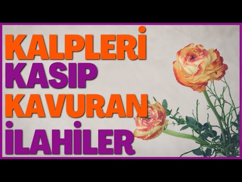 🌺🌺  KALPLERİ KASIP KAVURAN İLAHİLER 🌺🌺