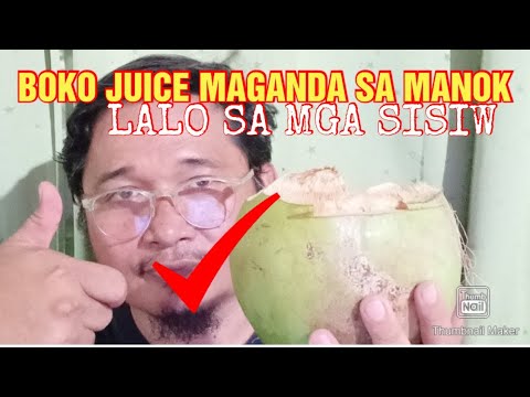LIVE!!! COCONUT WATER MAGANDA MGA MANOK LALO SA MGA SISIW - YouTube
