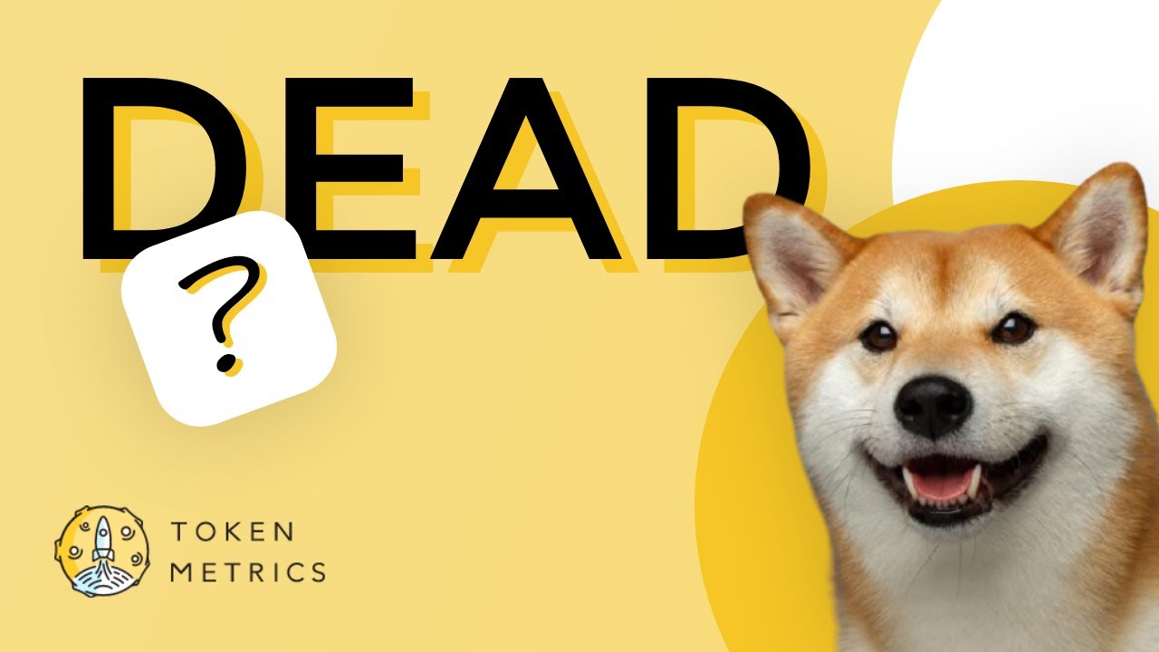 Are Meme Coins Dead? TikTok Banning Crypto Bad News? Future of Meme ...