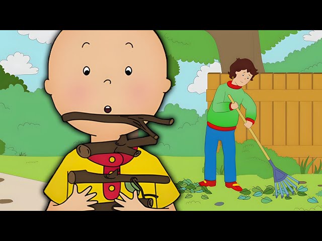 Caillou Dad