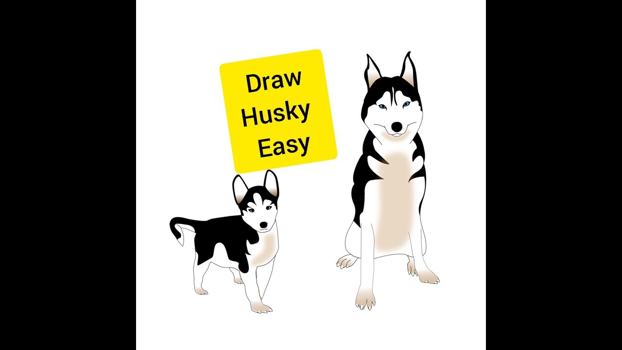 How To Draw A husky Easy - YouTube