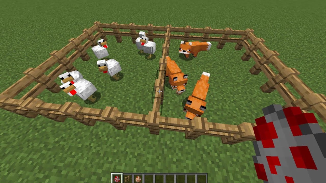 Chicken and Fox Minecraft - YouTube