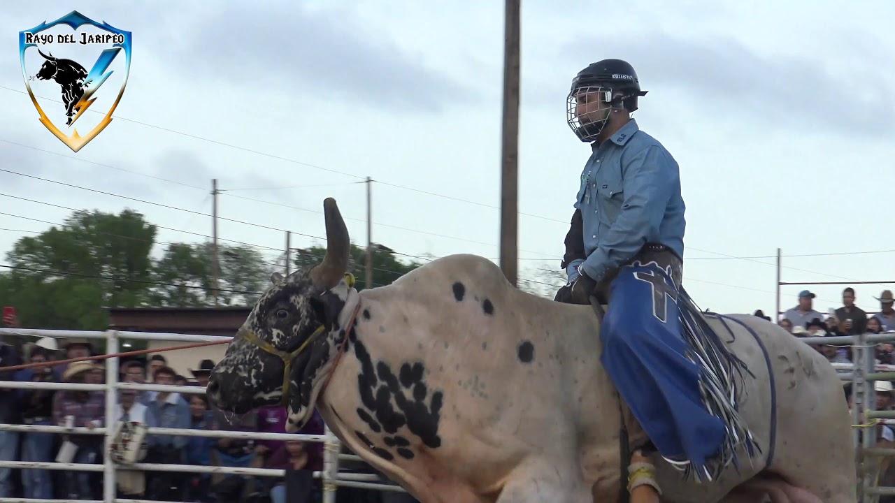 12vo TORNEO NACIONAL DE TOROS DE REPARO 2019 PLAZA MEXICO FORT WORTH ...