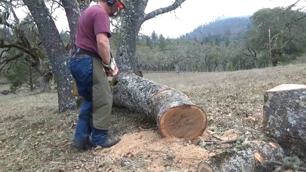 My Homelite 410 Chainsaw Gets A Workout - YouTube