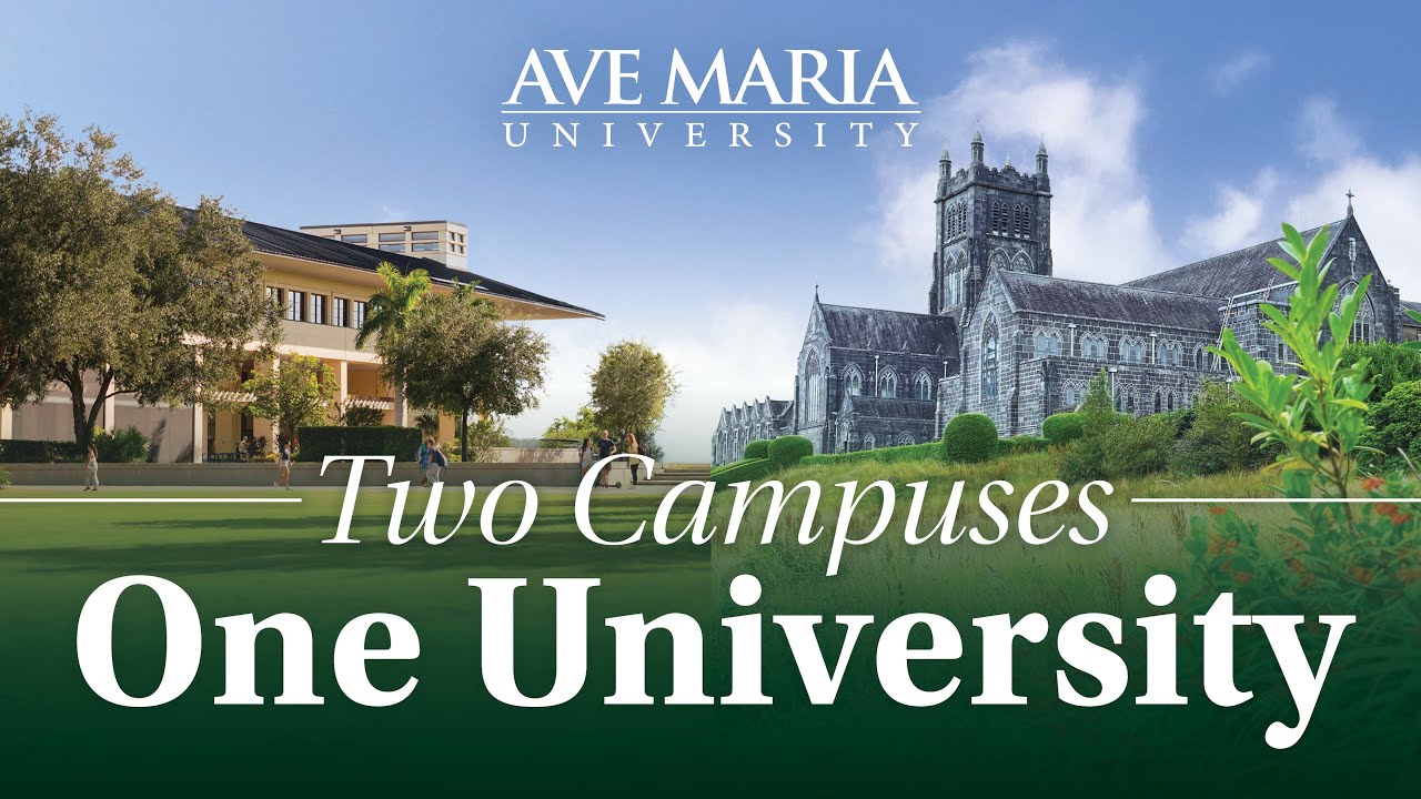 Ave Maria University Logo