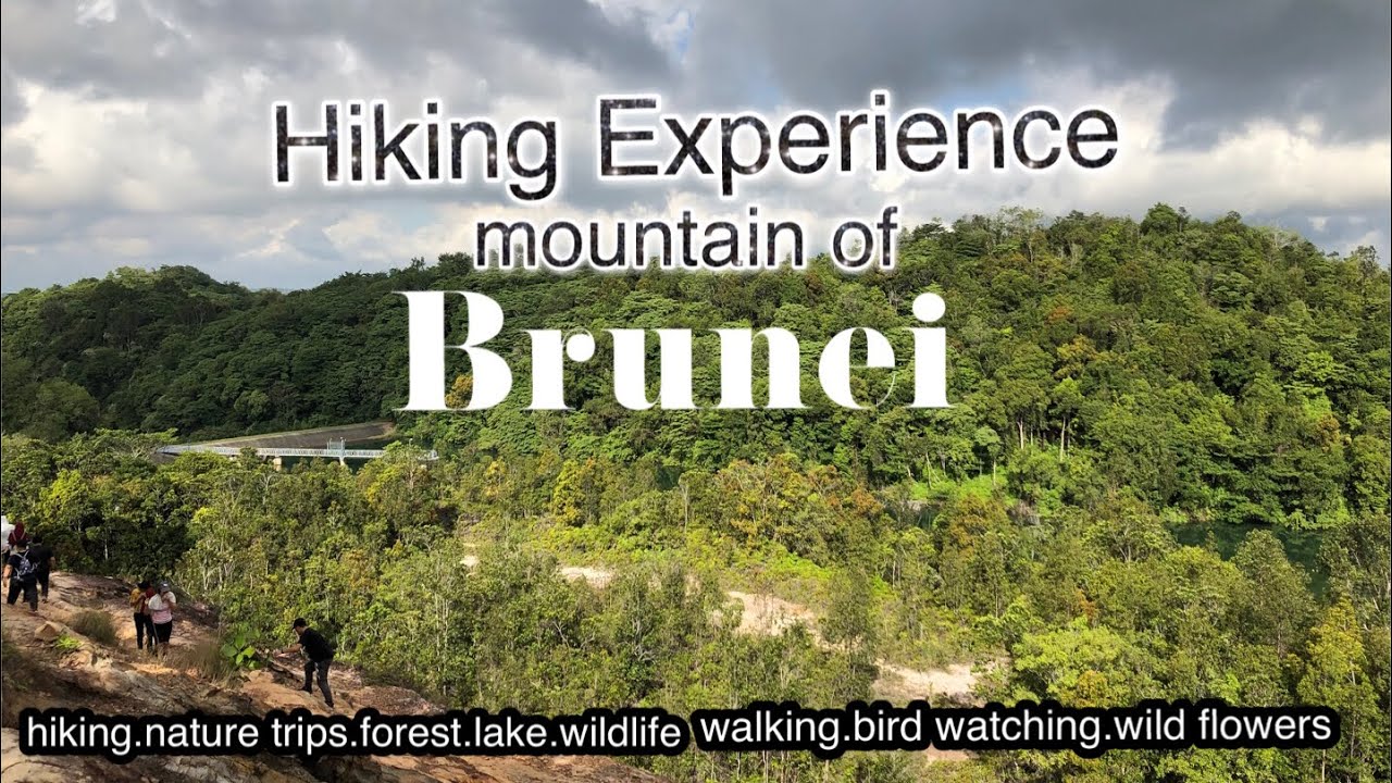 Hiking Experience mountain forest of Brunei | its not just hiking - YouTube