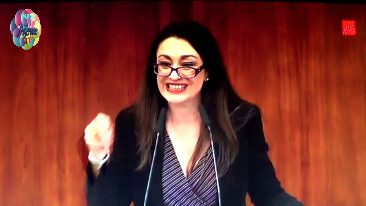 SOL SANCHEZ DIPUTADA UNIDAS PODEMOS EN LA COMPARECENCIA DE ANGEL ...