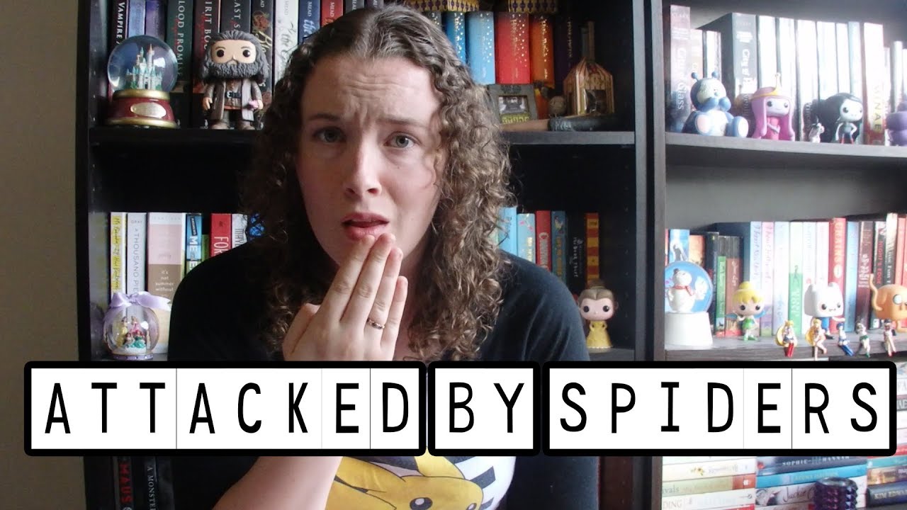 MY TERRIFYING SPIDER STORIES - YouTube