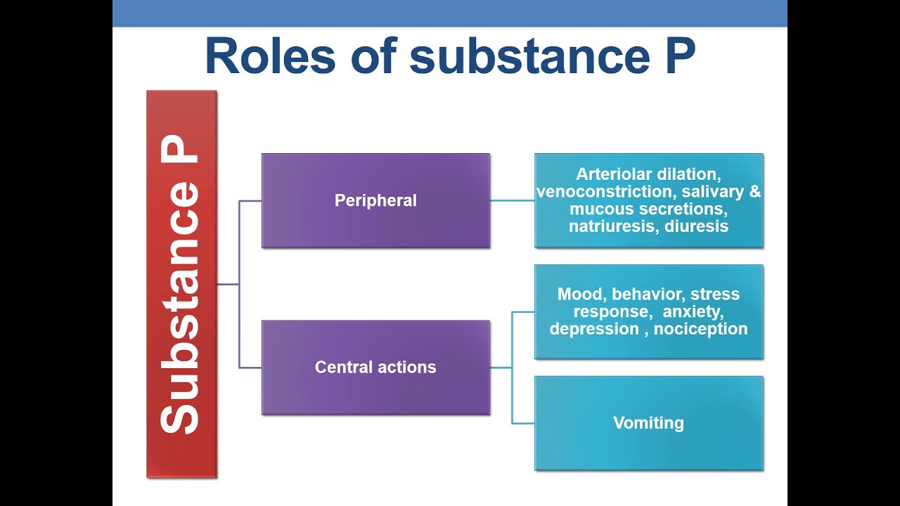 SUBSTANCE P - YouTube