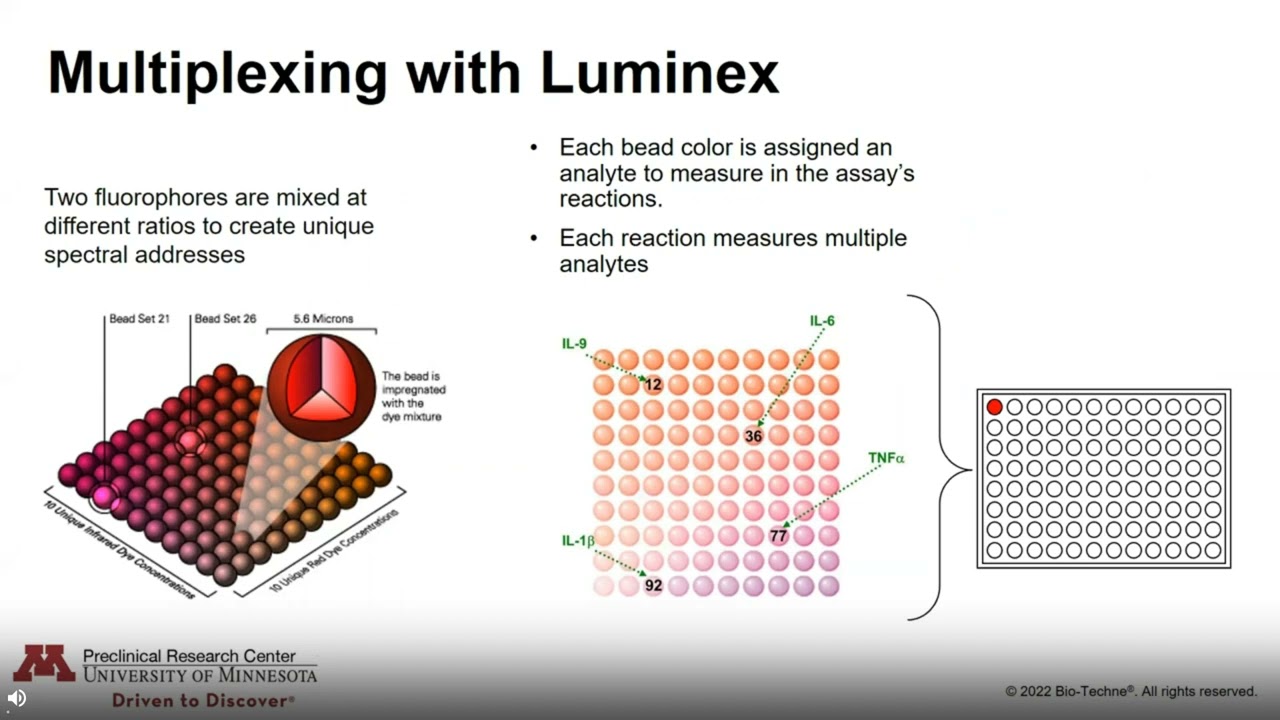 Optimizing Cytokine Analysis Choosing the Right Assay for Accurate ...