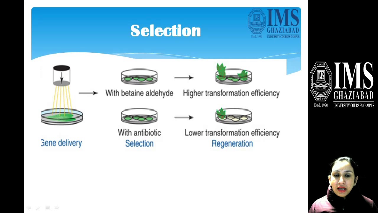 Chloroplast engineering - YouTube