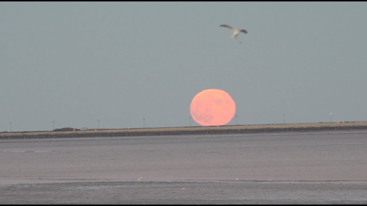 Full Moon Rising in Revere, MA - YouTube