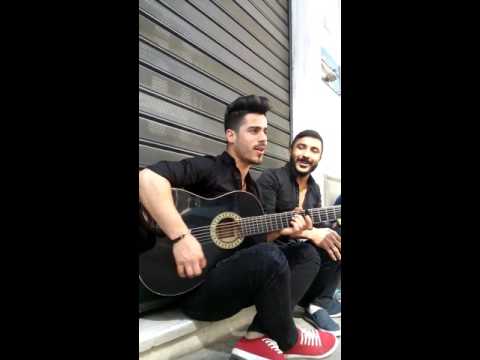 Dıl Disoje Grup Anemon