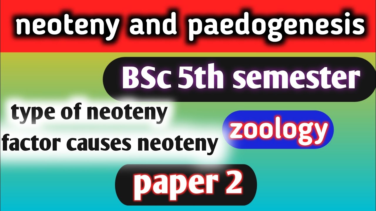 neoteny and paedogenesis bsc 5th semester zoology# ...