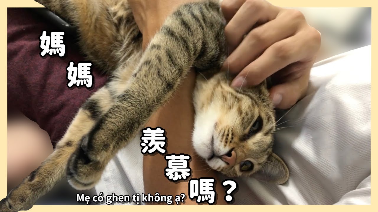 這樣也能睡!?菜爸不愧是哄睡達人！｜JiangJiang cũng ngủ được chứ!?｜小菜貓日記 - YouTube