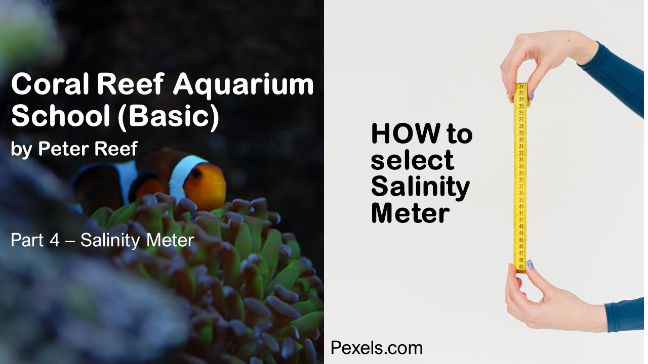 Coral Reef Aquarium School - Part 4 - Salinity Meter - YouTube