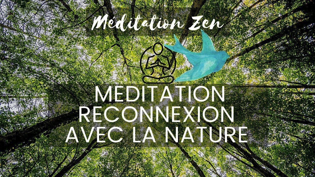 Méditation reconnexion avec la nature 45 minutes - YouTube