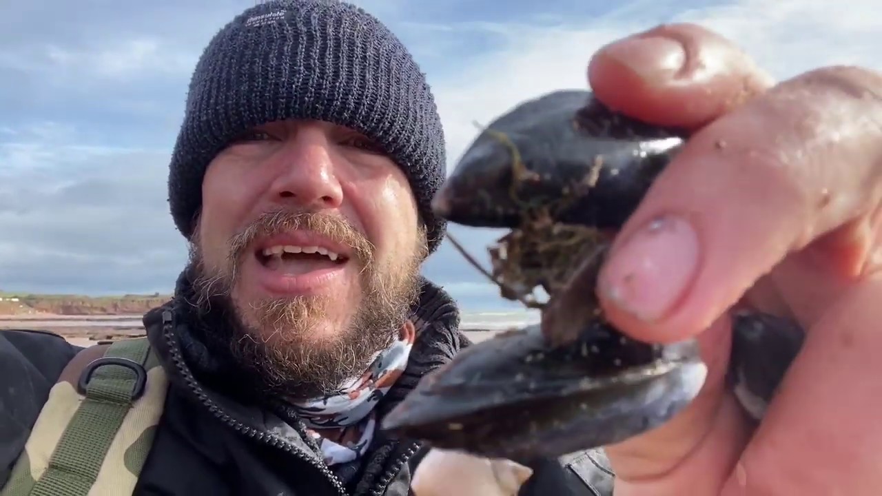 Safely Forage Wild Shellfish - Mussels - YouTube